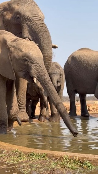Luxury exclusive use Safari Lodge | Greater Kruger National Park| Ximuwu