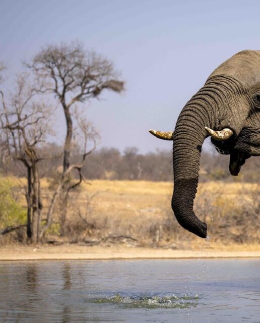 Luxury exclusive use Safari Lodge | Greater Kruger National Park| Ximuwu